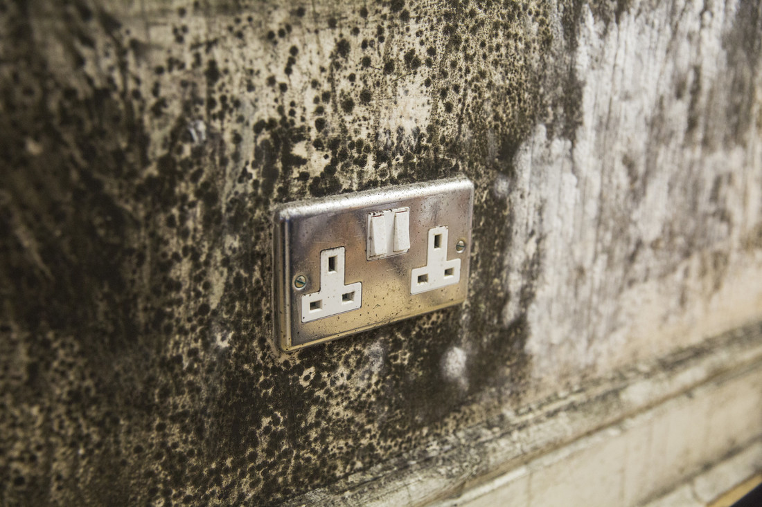 What to do once you discover damp or mould in your home – Shelter ...